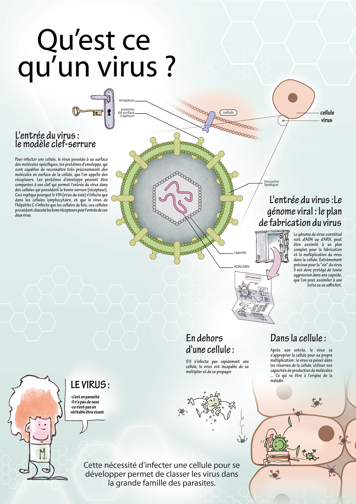 Découvrir le vaste monde des virus | Centre sciences